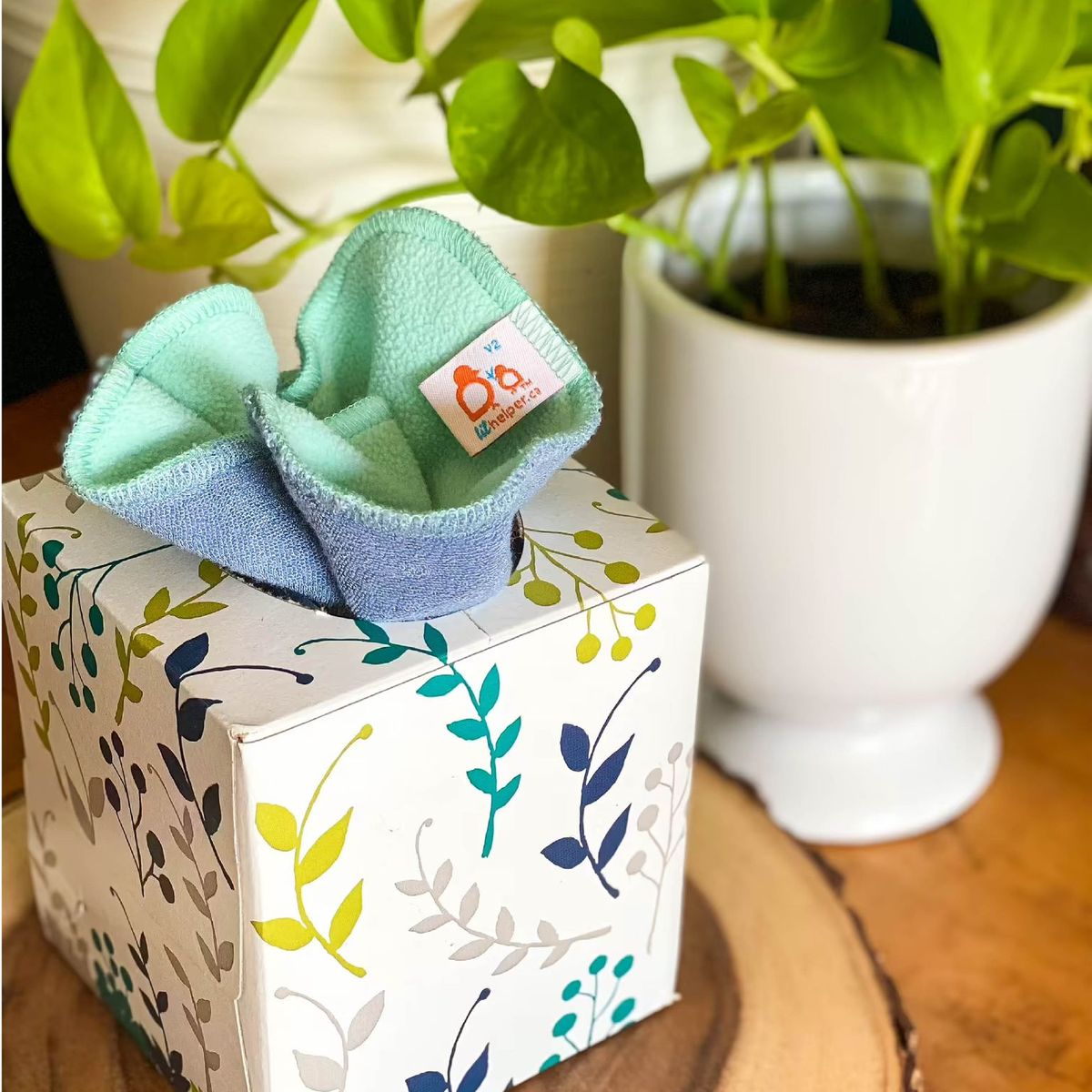 Single-Use Swaps: Five Ideas for a Greener Home